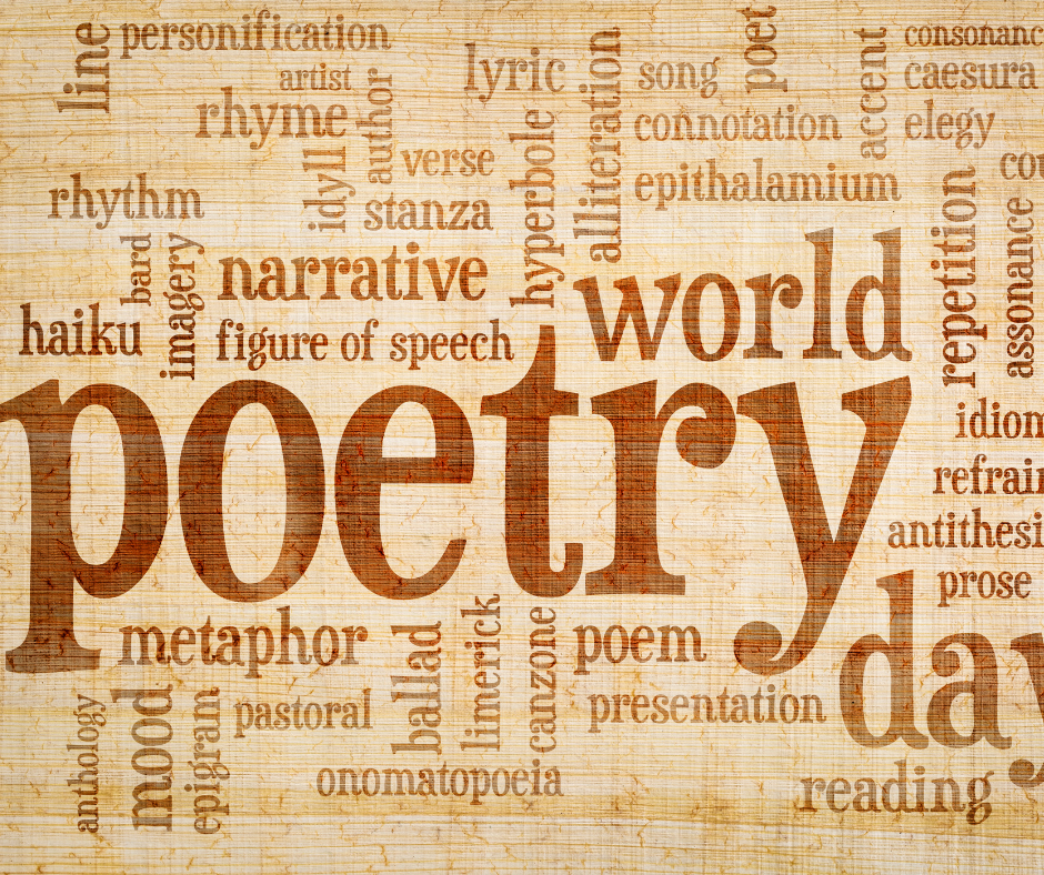 Online Scribblers: All courses